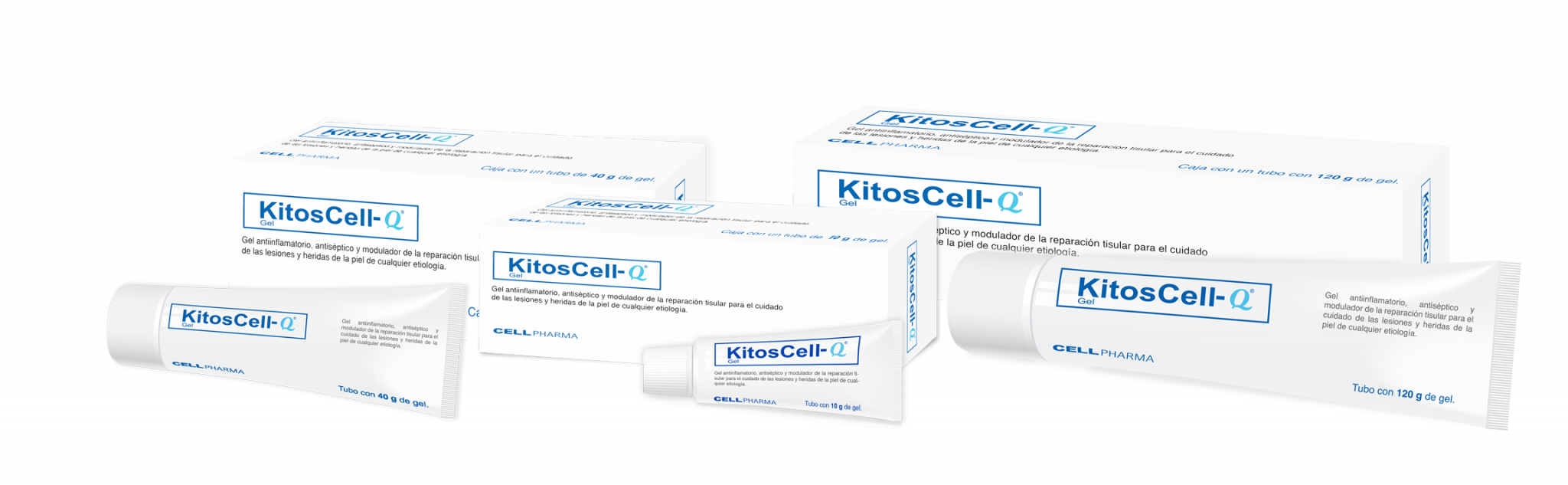 Producto – Kitoscell-Q
